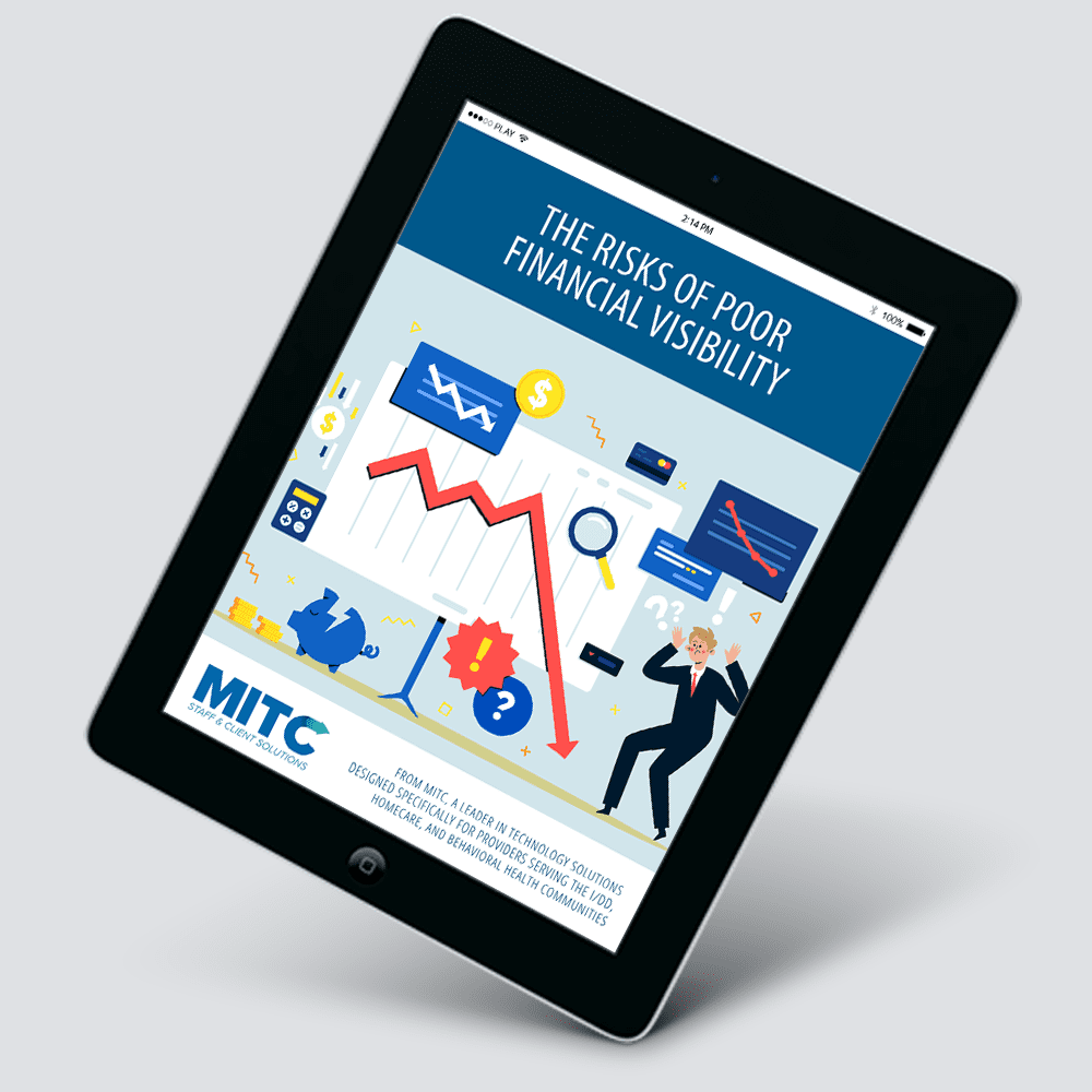 The Risks of Poor Financial Visibility - MITC Agency Solutions